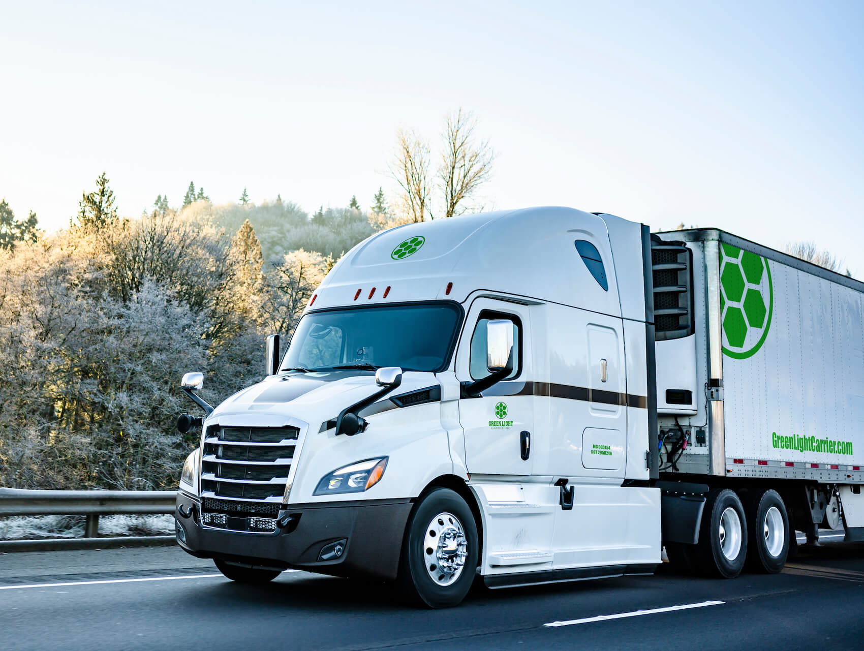 Driver And Owner Operator at Green Light Carrier